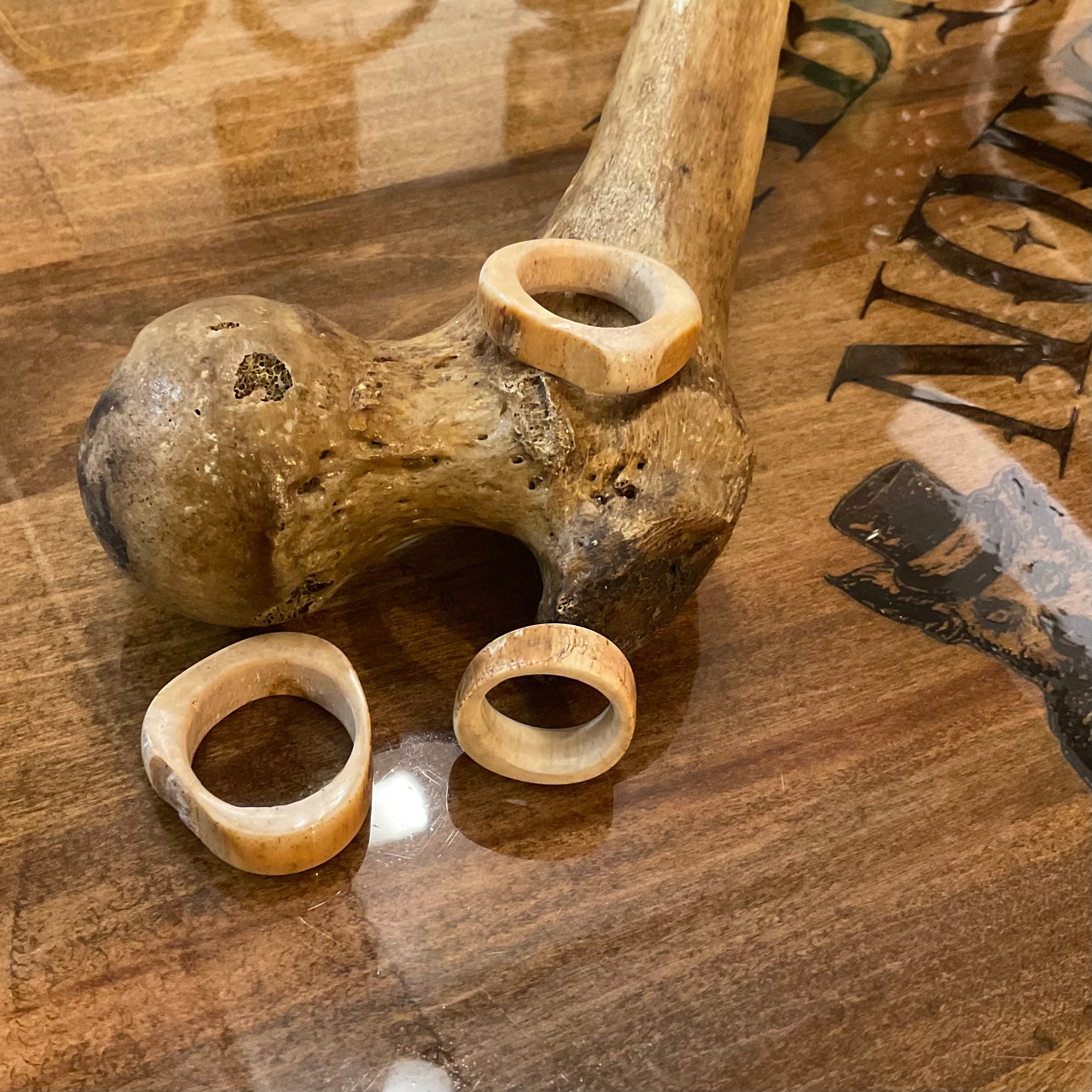 Human Femur Bone Ring | The Learned Lemur